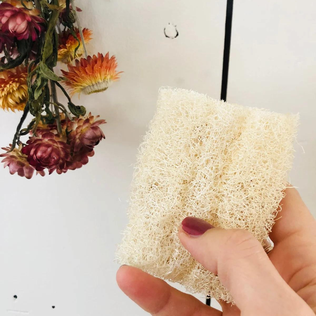 LOCAL ORGANIC LUFFA SPONGE - Camping Format – Boutique Shoosh